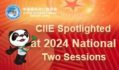 Index—China International Import Expo