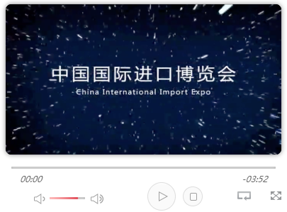 Index—China International Import Expo